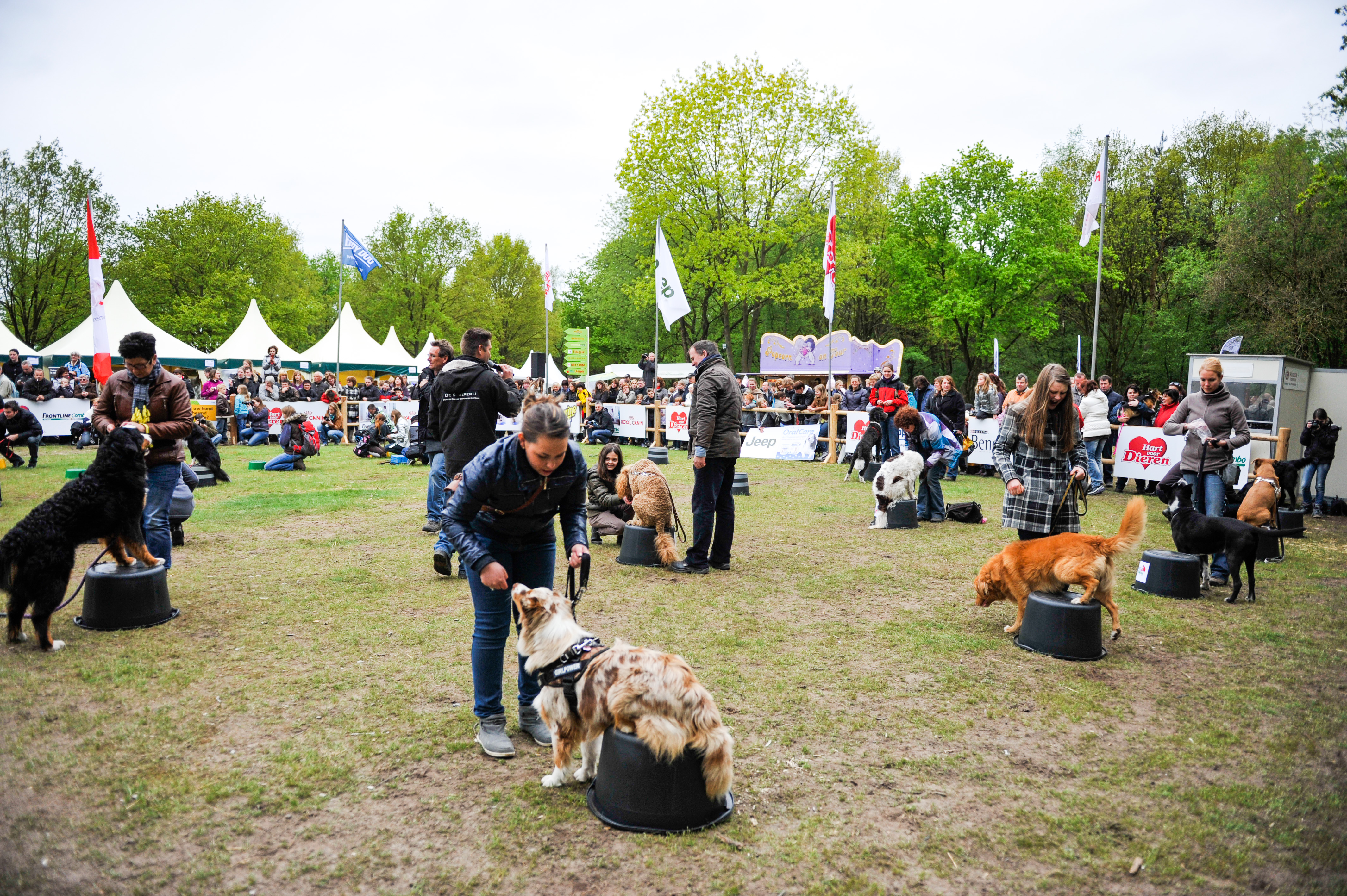 Mooie momenten van 13 jaar Animal Event - Animal Event